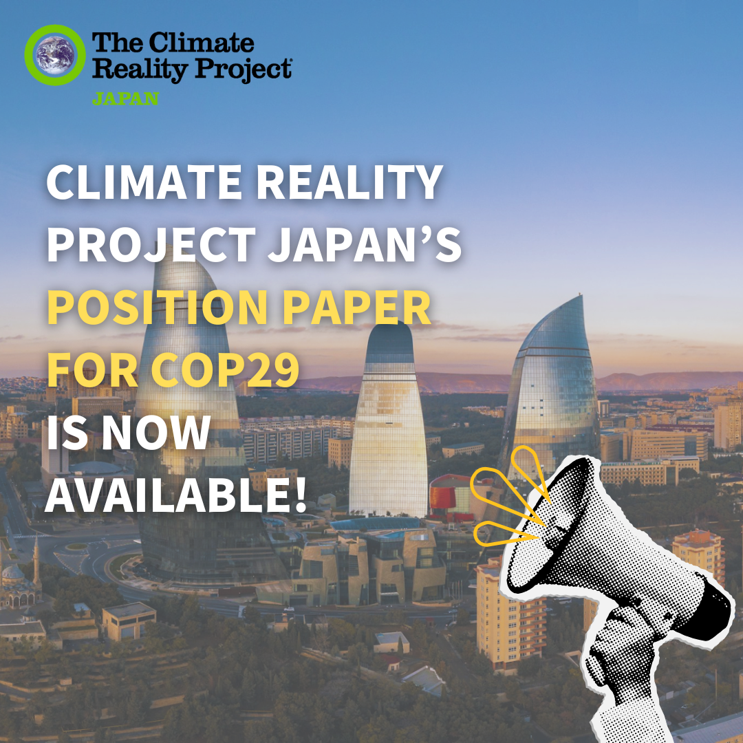 Our position paper for COP29 is available for download! | The Climate ...